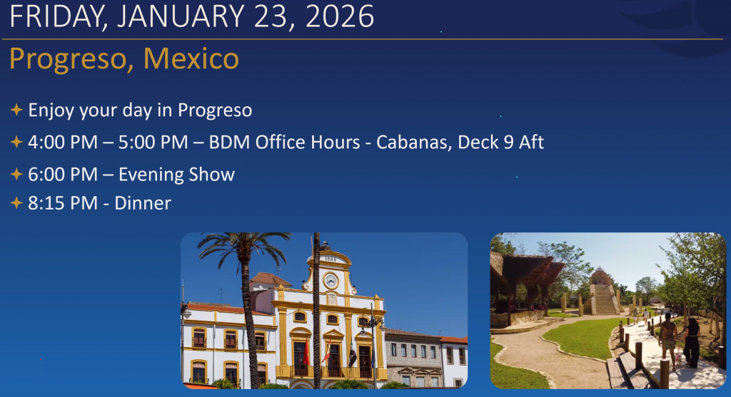 Disney Magic Cruise Luggage Tags! ⋆ Superb Vacations